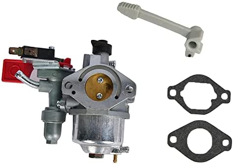 New Mactoom 799060 Carburetor Compatible with Briggs & Stratton ...